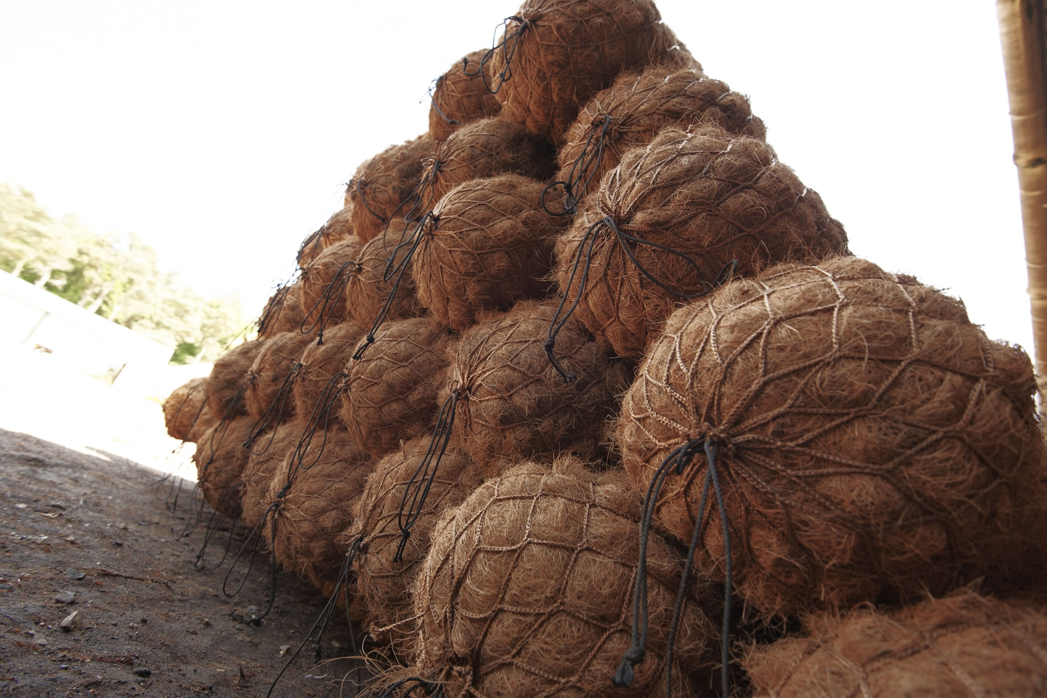 Pre-established Coir Rolls | Salix