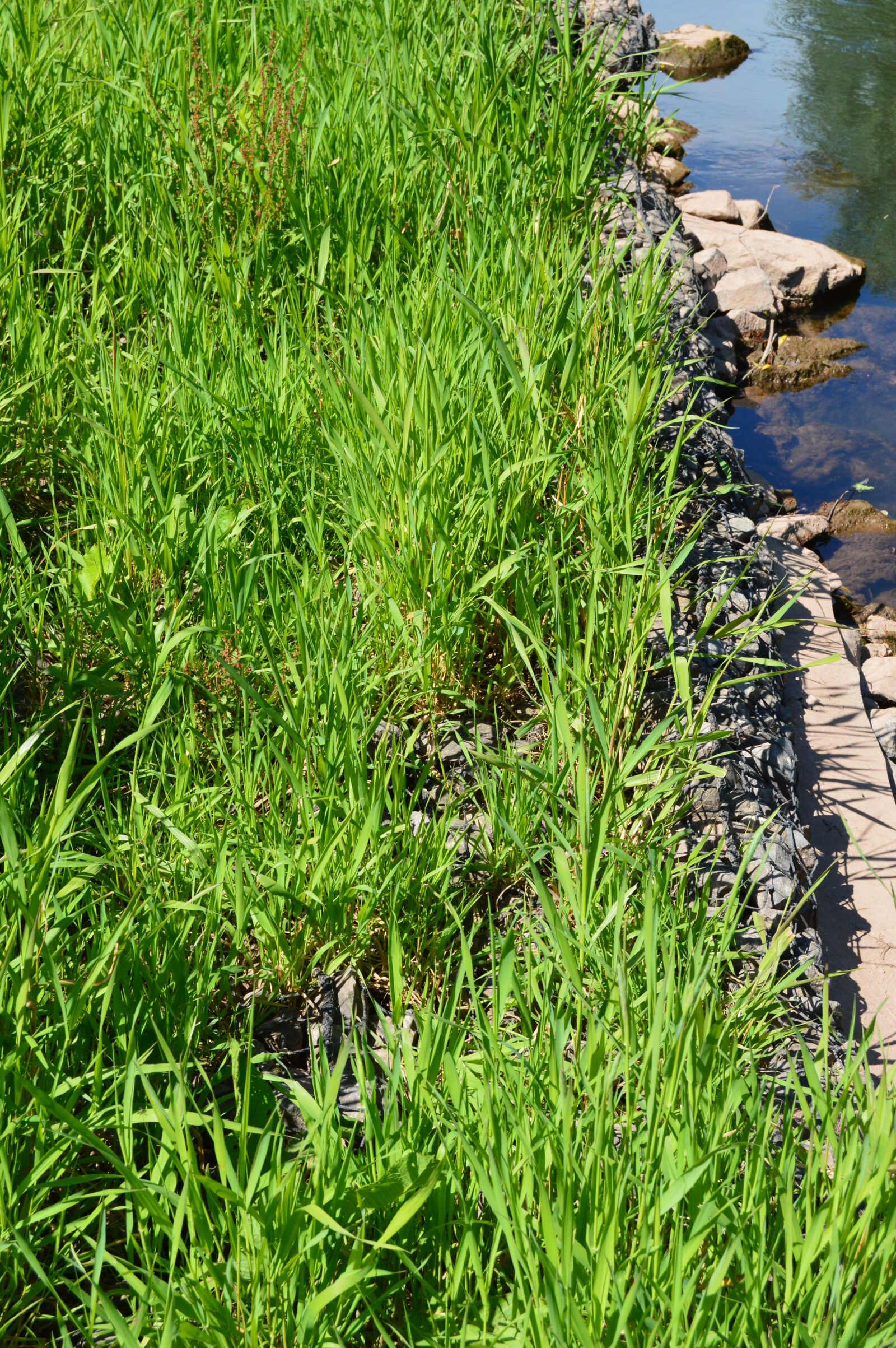 Pre-filled Rock Mattresses | Salix