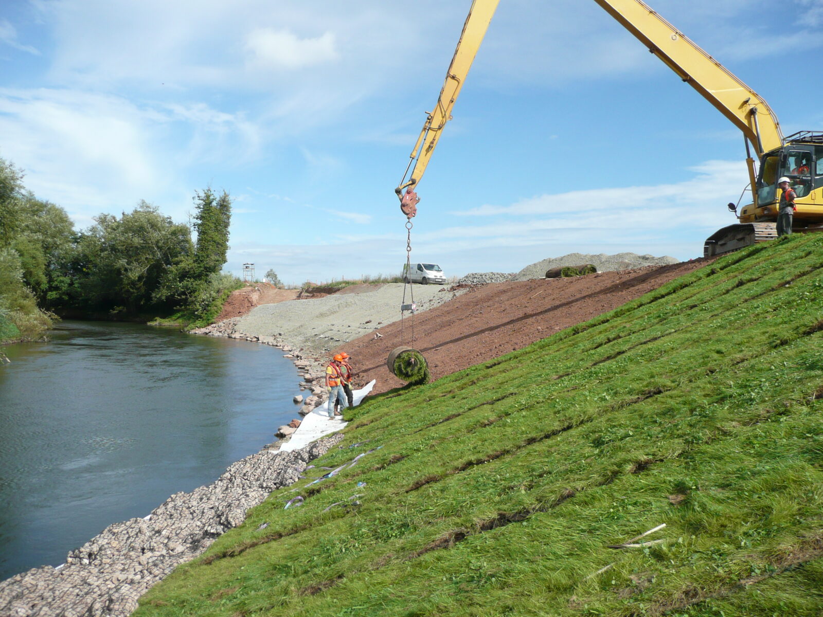 River Teme | Salix