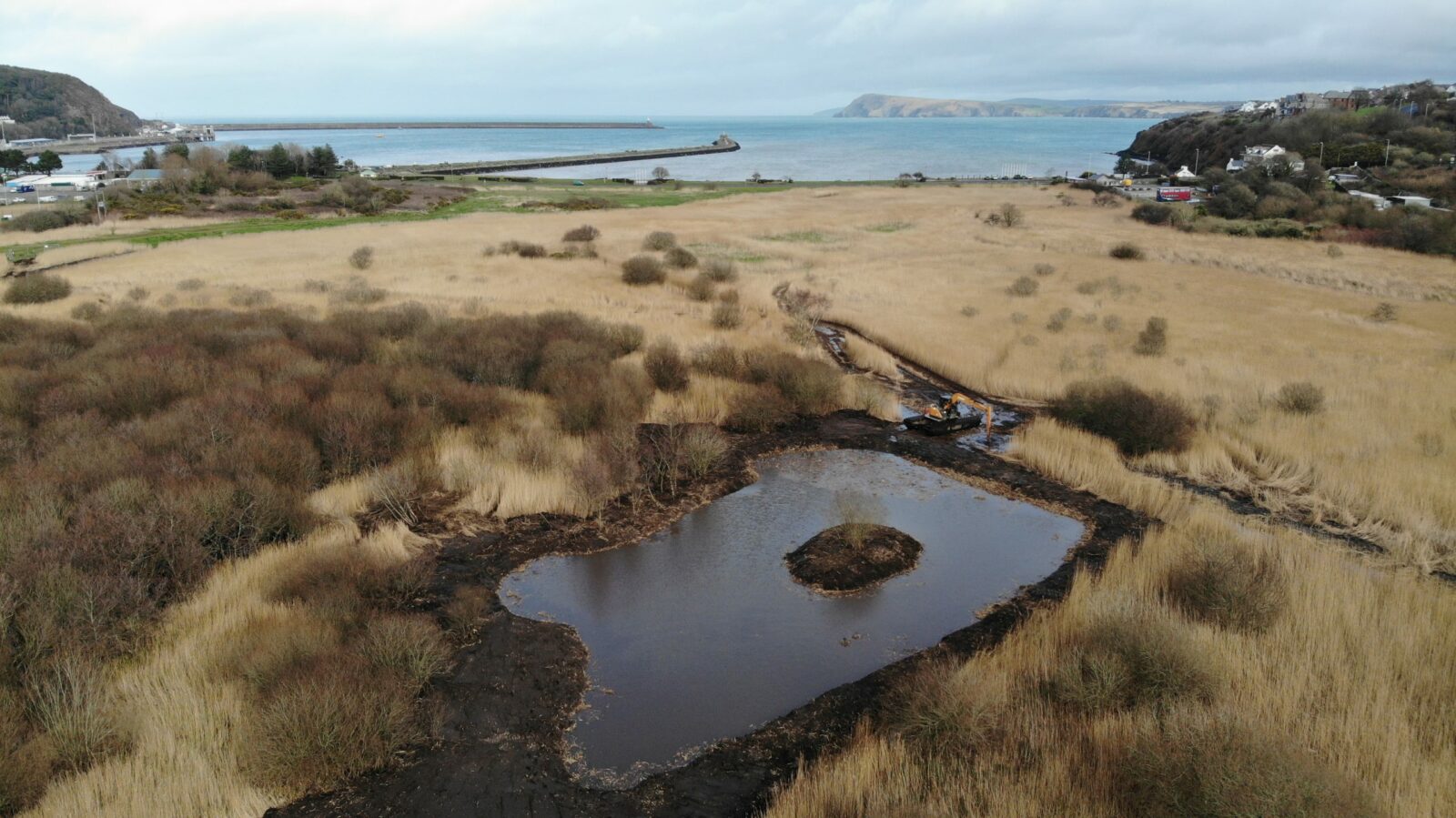 Improving Wetland Habitat at Goodwick Moor, Fishguard | Salix