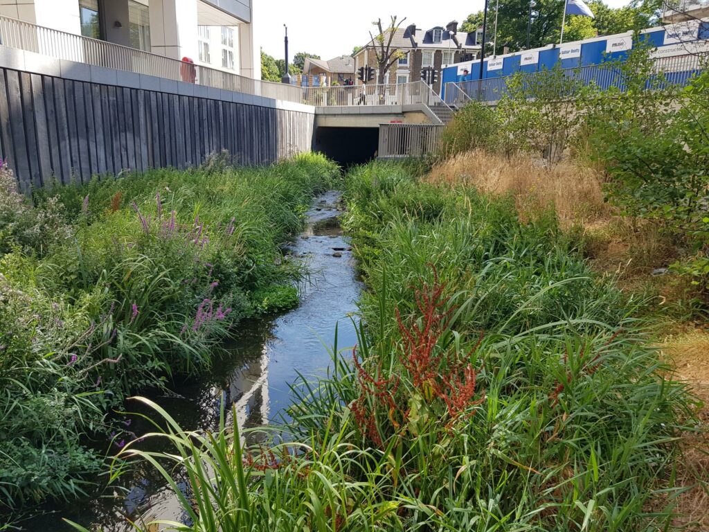 River Quaggy: Lewisham | Salix