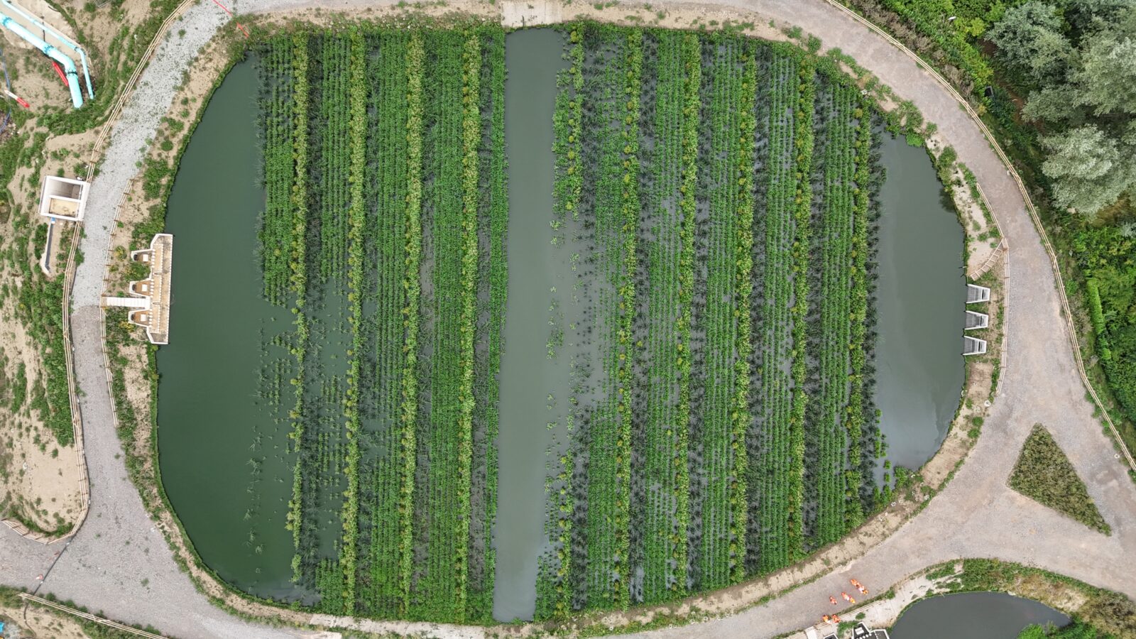 Hinckley Integrated Constructed Wetland | Salix