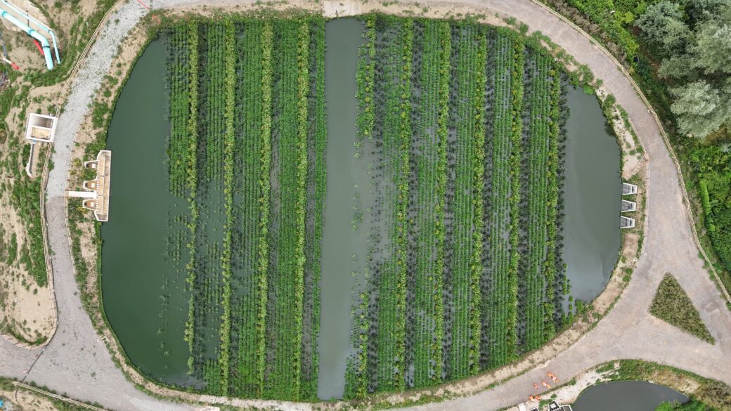 Sustainable solutions to soil, riverbank erosion & river restoration.